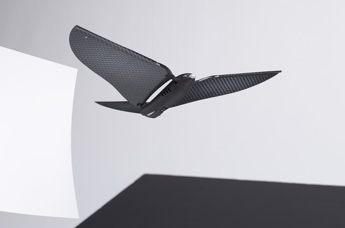 Bionic Bird the Furtive Drone