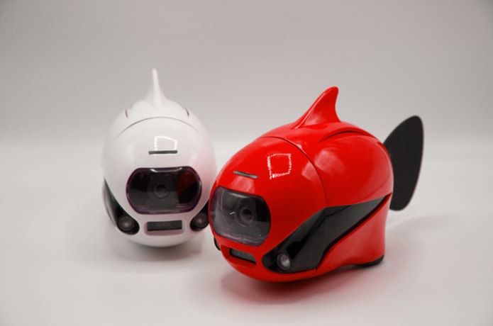 Biki drone store