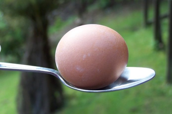 First The Worst | Indiegogo