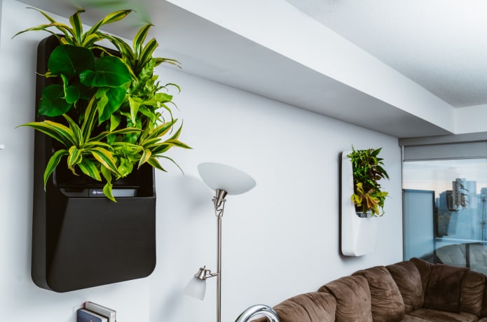 Respira The air purifying smart garden Indiegogo