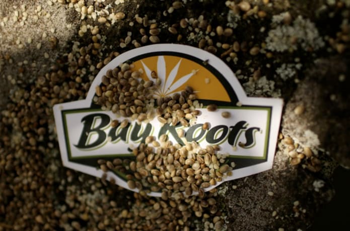 Bay Roots Hemp Burgers - Feeding The Revolution | Indiegogo