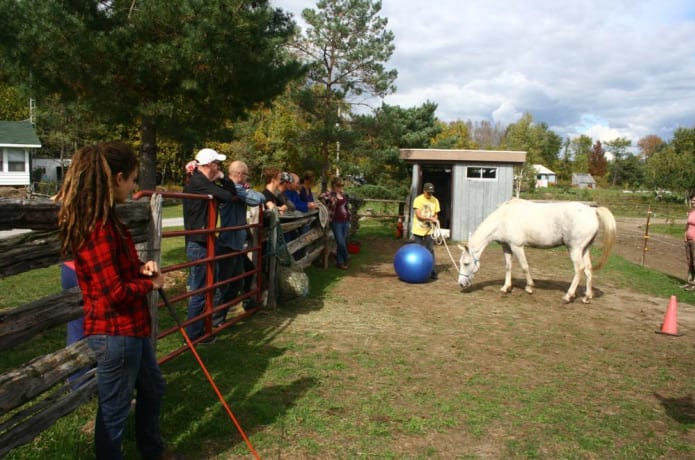 It takes a village to save a farm | Indiegogo