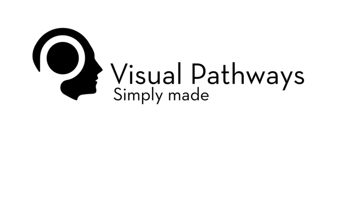 Visual Pathways - The Book | Indiegogo