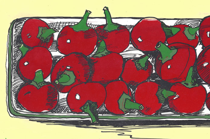 Tim Roberts: first exhibition & book launch | Indiegogo