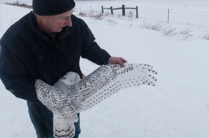 Project SNOWstorm | Indiegogo