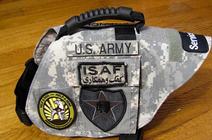 Dog Vests 4 Vets | Indiegogo