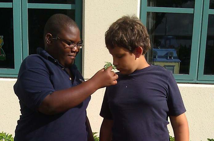 Norcrest Elementary Sensory Garden | Indiegogo