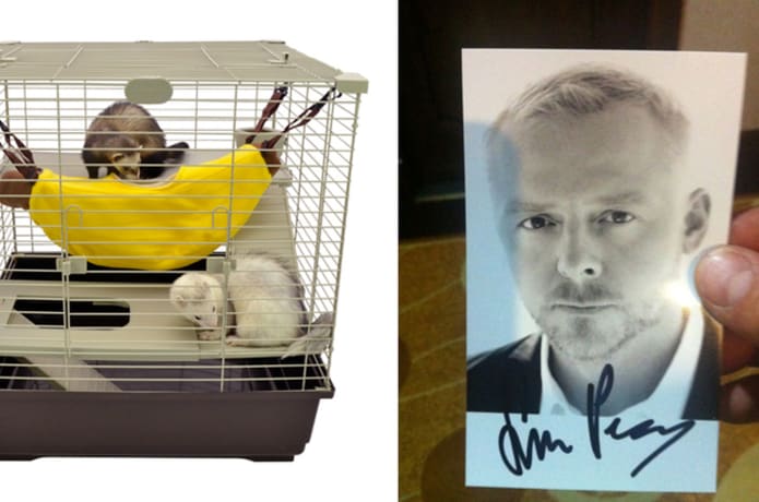 The Magic Ferret | Indiegogo