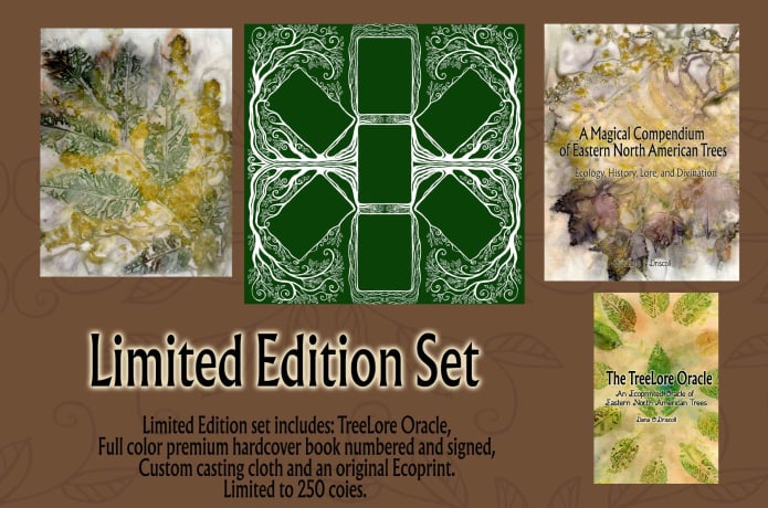 TreeLore Oracle Deck and Book by Dana O'Driscoll | Indiegogo