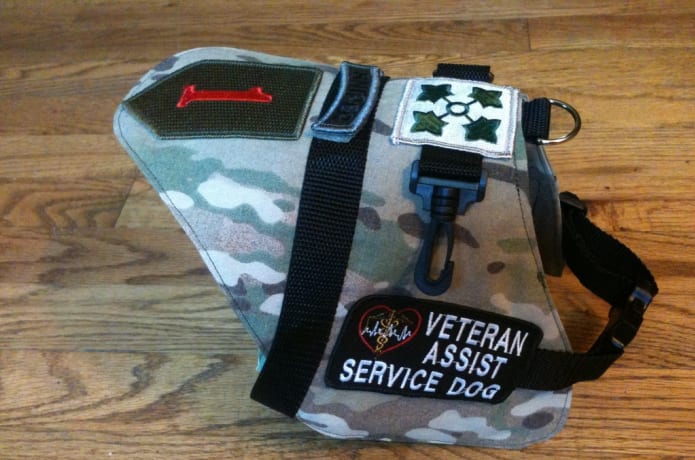 Dog Vests 4 Vets | Indiegogo