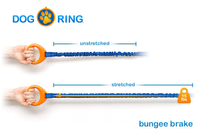 Dog Ring: Take Your Dog Everywhere | Indiegogo