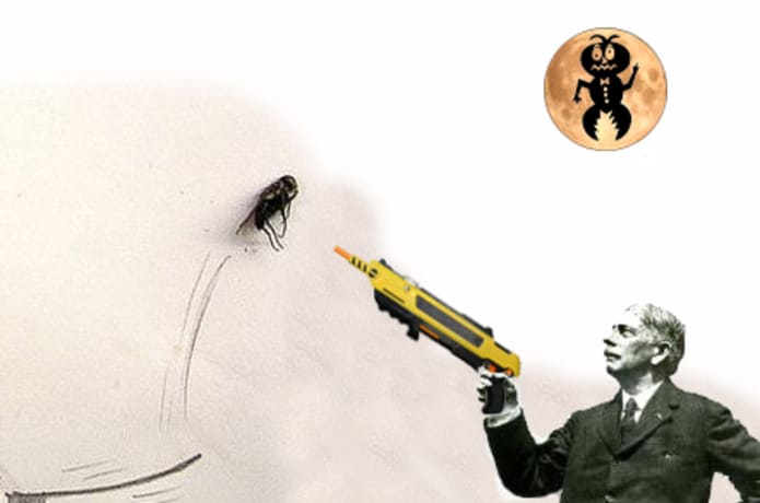 Bug-A-Salt Introduces Camofly 2.0 | Indiegogo