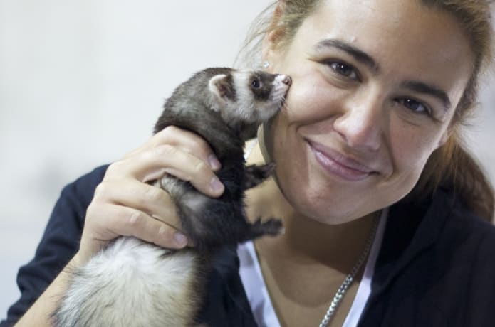 The Magic Ferret | Indiegogo