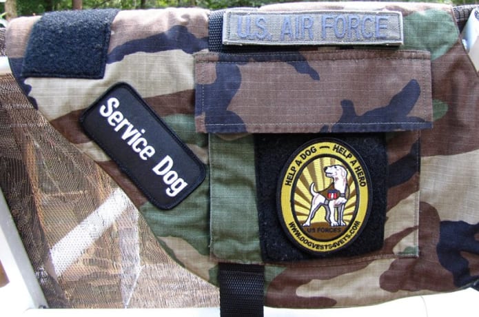 Dog Vests 4 Vets | Indiegogo