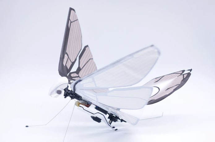 MetaFly - A New Flying Experience. | Indiegogo