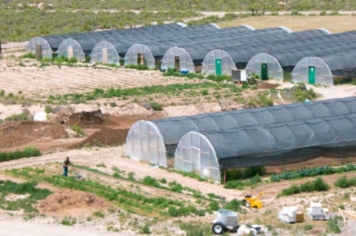 Blue Lizard Farm, Project Hoop House | Indiegogo