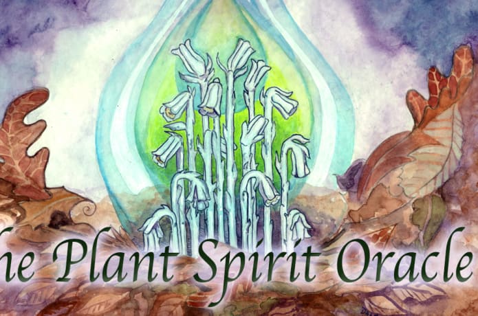 The Plant Spirit Oracle -Original 50 Card Deck | Indiegogo