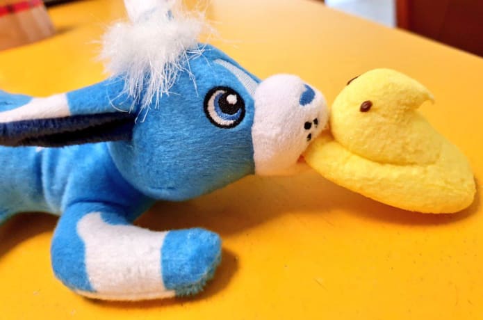 Pocari Roo Saves the Kitties | Indiegogo