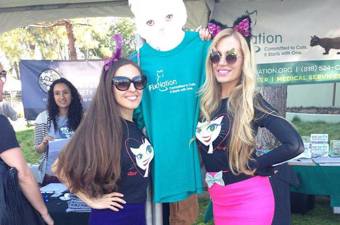 The Cat Club Rescue Center | Indiegogo