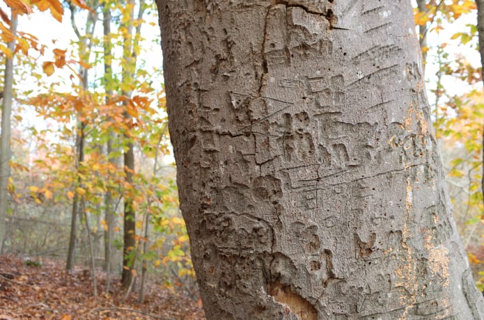 THE ACID KING - Ricky Kasso True Crime Documentary | Indiegogo