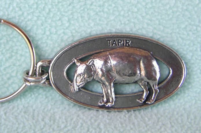 Save the Tapir Preservation Fund | Indiegogo