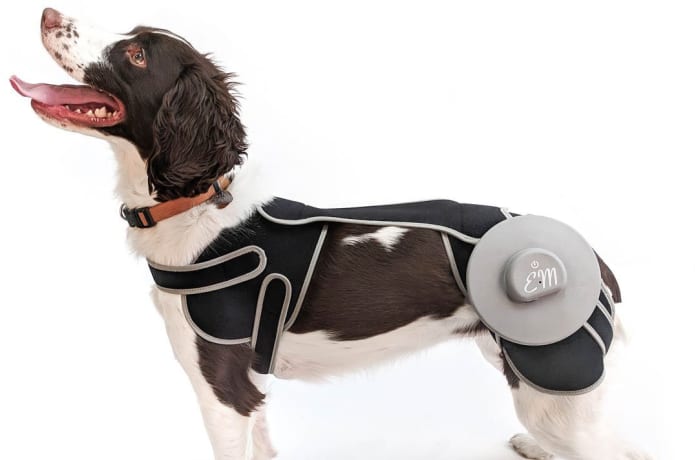 Embrace Relief System -- Dog Pain Relieving Device | Indiegogo