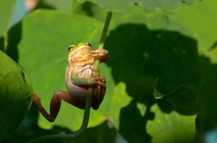 A Magical World Of Insects Photography Book | Indiegogo