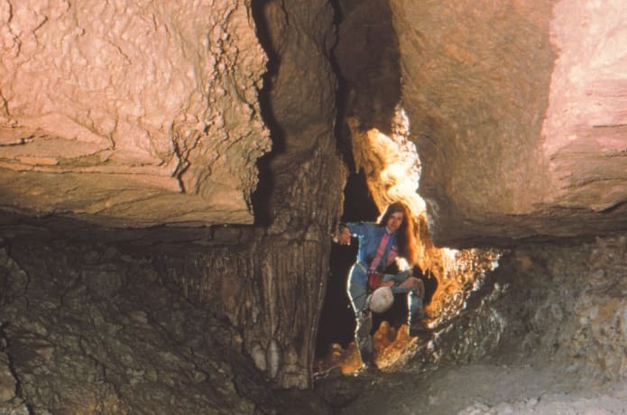 Fern Cave: The Discovery, Exploration, and History of Alabama's ...