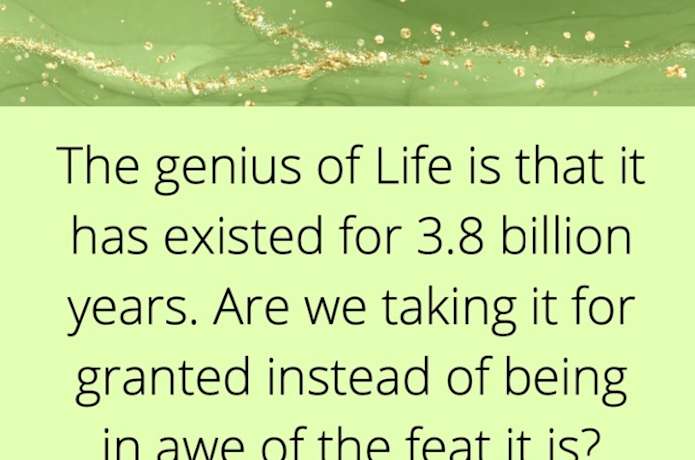 Earth Values Card Deck | Indiegogo