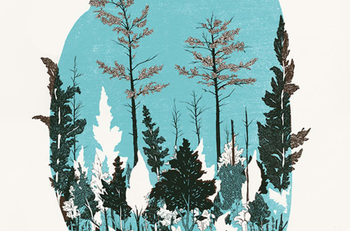 Phew: illustrations as screen printed posters | Indiegogo