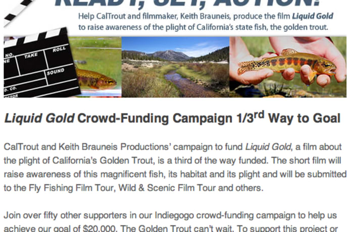 Liquid Gold | Indiegogo