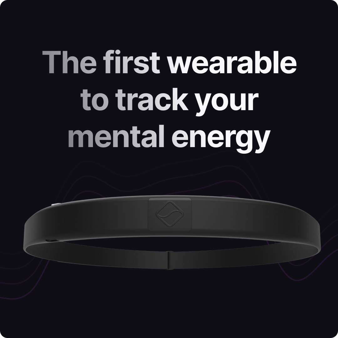 Vegetable Circus Holiday Fundraiser | Indiegogo